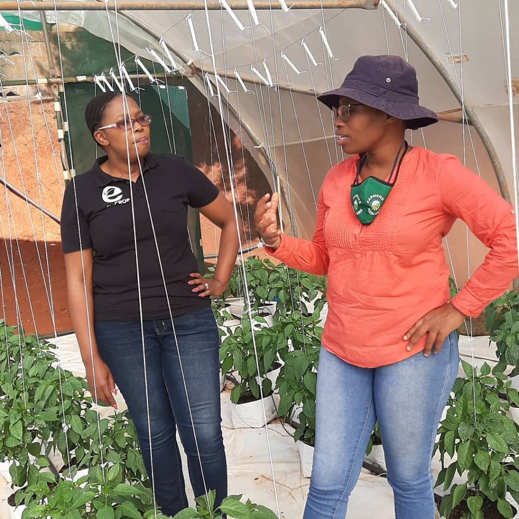 Gallery - Azowel Projects