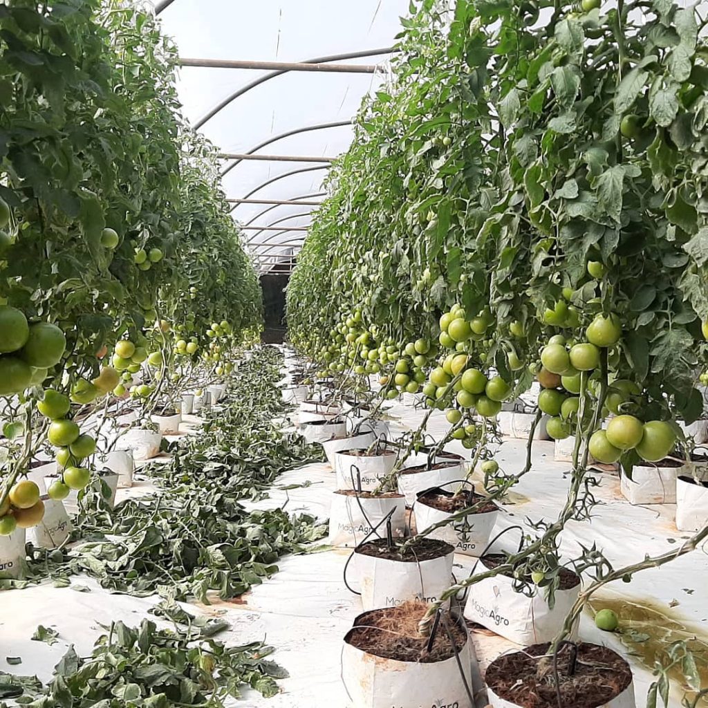 Gallery - Azowel Projects