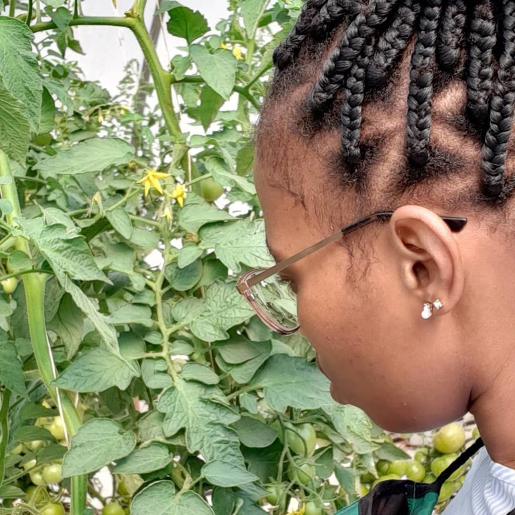 Gallery - Azowel Projects